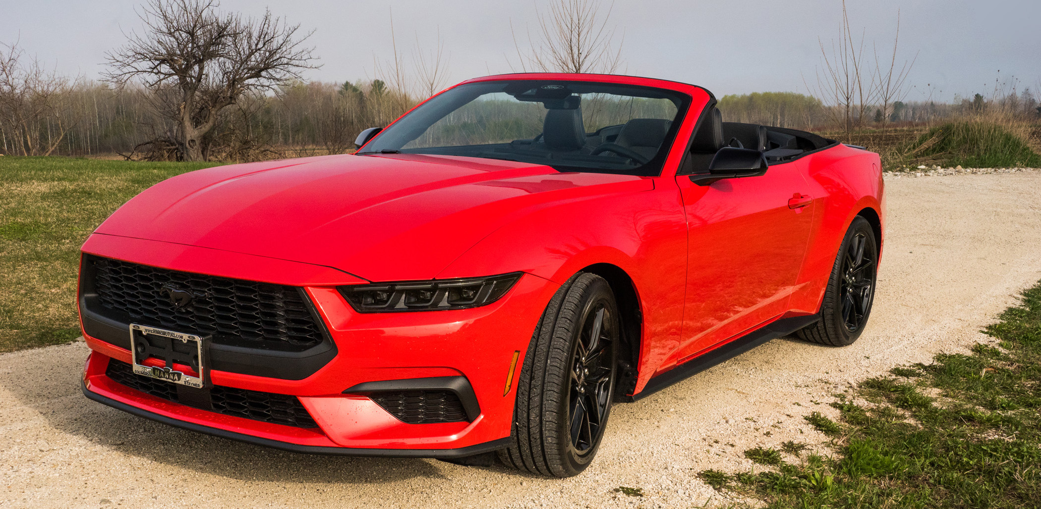 Stayner Lions - Stayner Lions