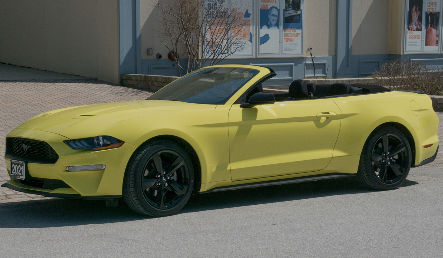 Stayner Lions - Stayner Lions