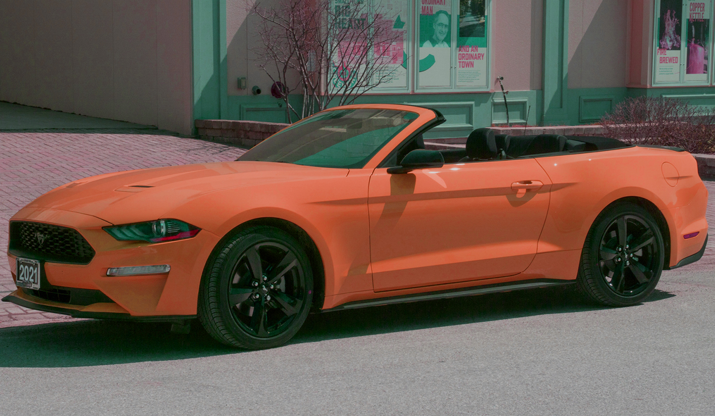 Stayner Lions - Stayner Lions